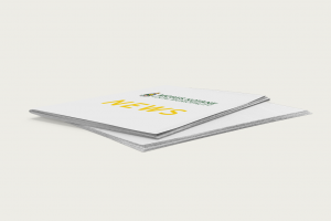 MOSES KOTANE LOCAL MUNICIPALITY’S RESPONSE TO THE OUTBREAK OF CORONA ...